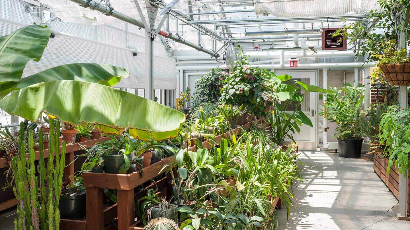 Research | Equitable Climate Futures | Brown University